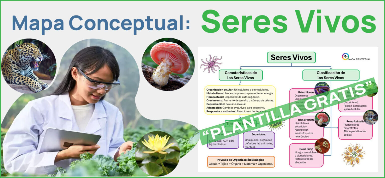 Mapa Conceptual de los Seres Vivos 2025 🌱 Plantilla Gratis Editable